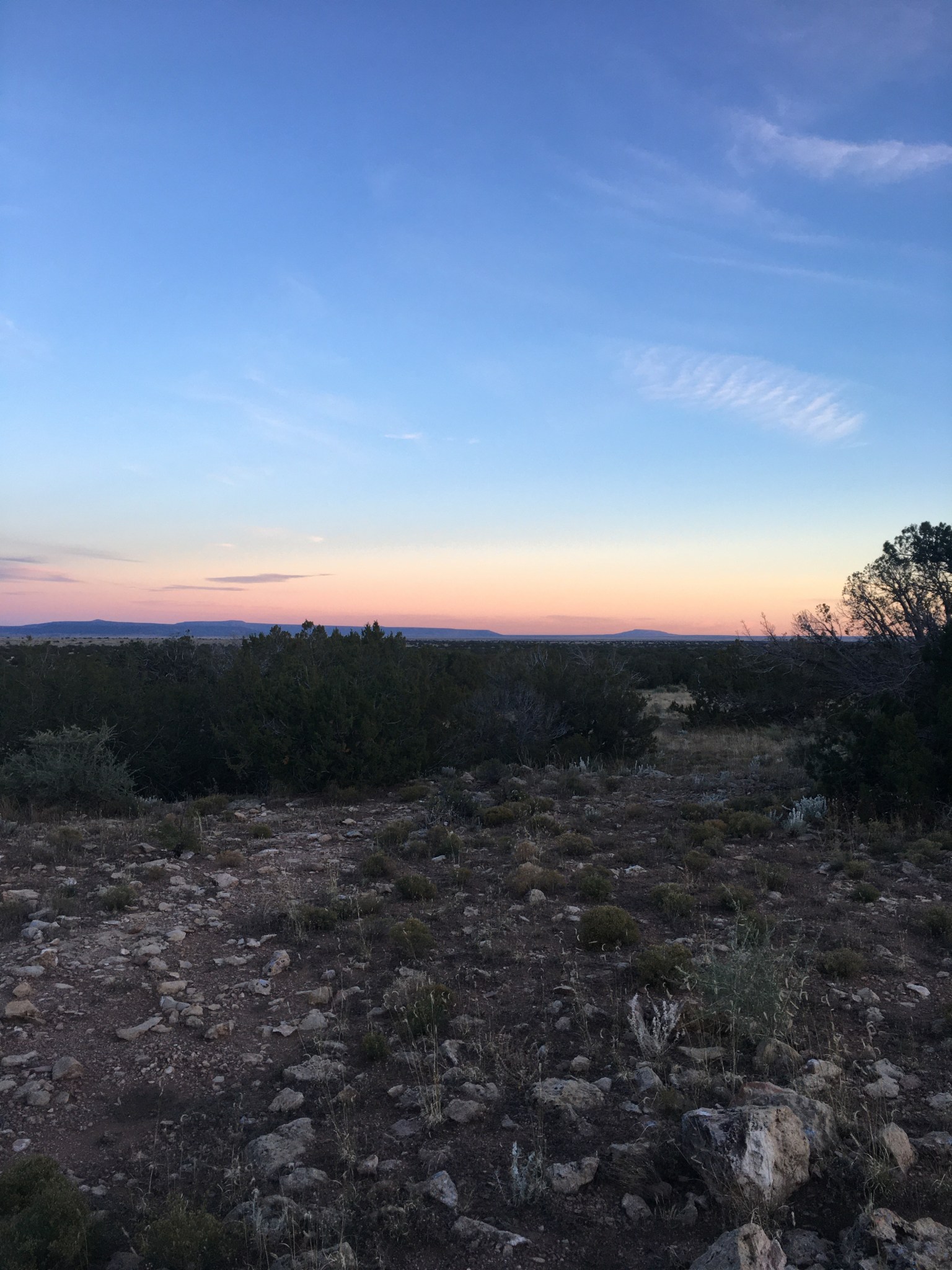 Beyond the Mesas – The website of Hopi historian and author Matthew ...